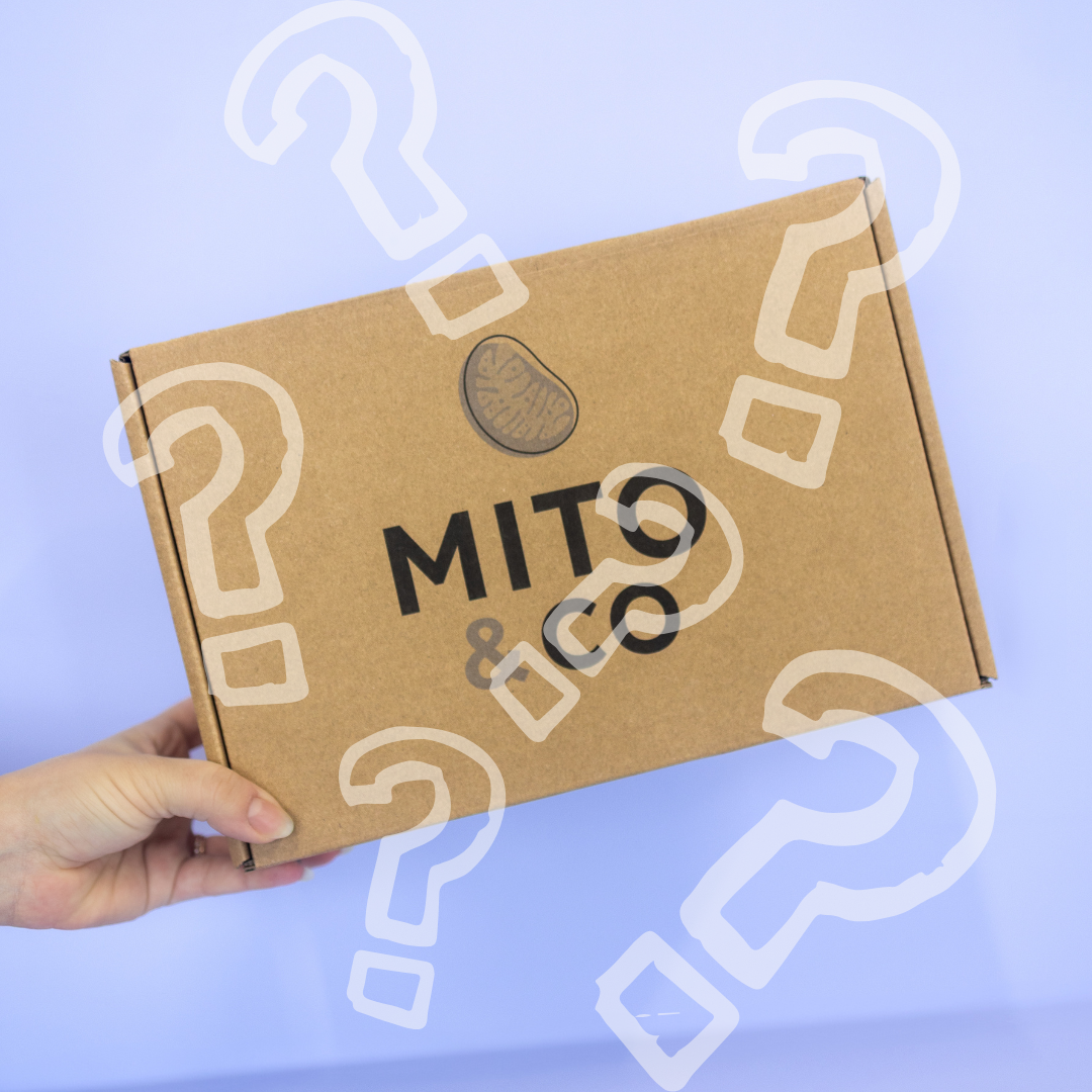 MITO Mystery (Surprise Science) – MITO &CO